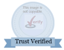 All You Need To Know About Becoming A Trust Verified Business